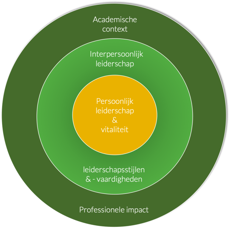Academisch leiderschap - Academic Vision